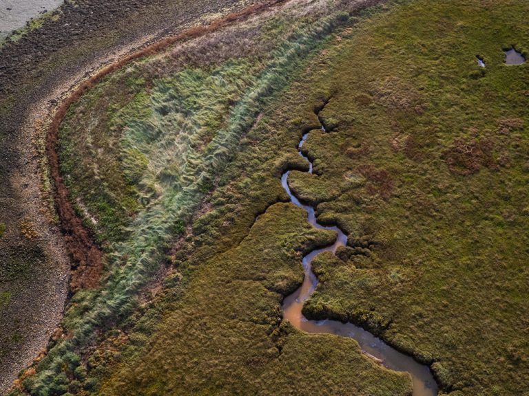 Project | Solent Seascape Project