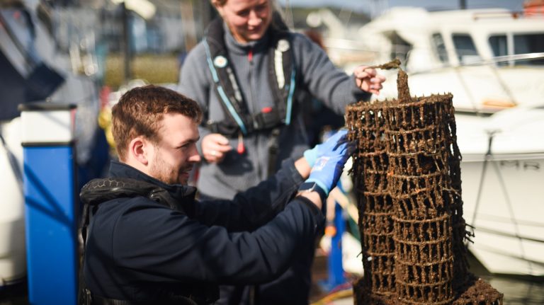 Volunteer Opportunities | Solent Seascape Project