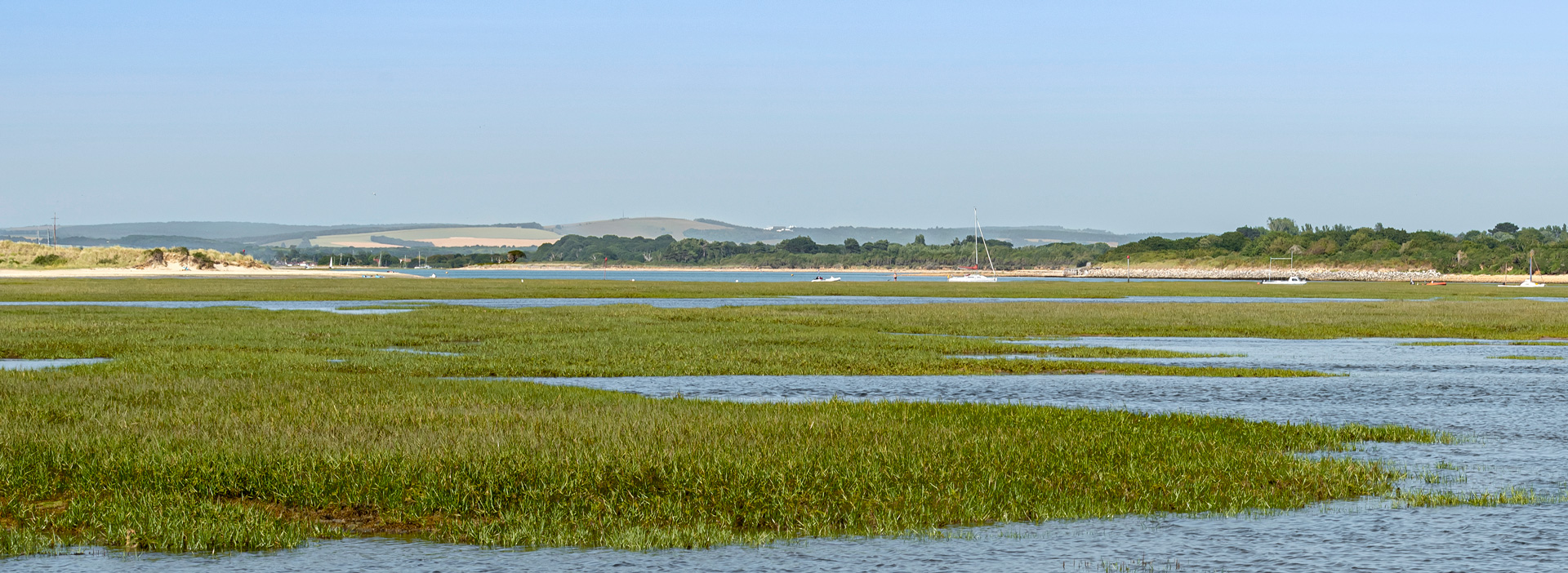 Solent Seascape - Saltmarsh habitat talk - Solent Seascape