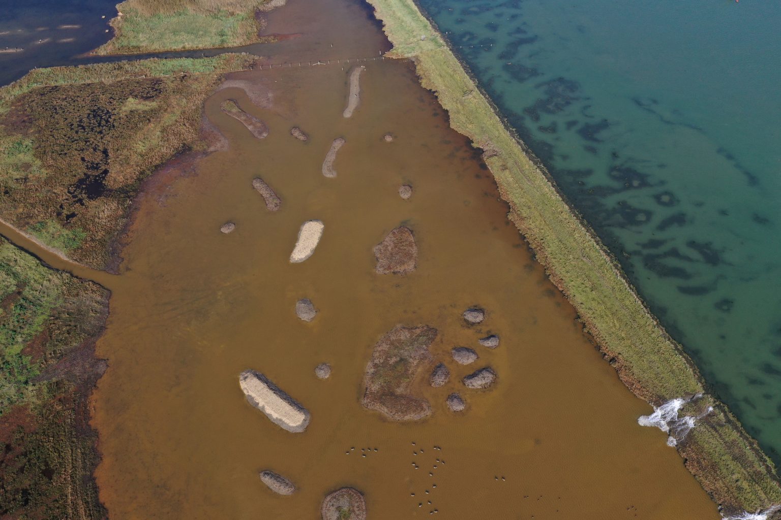 Natural England restores seabird sites at National Nature Reserve ...