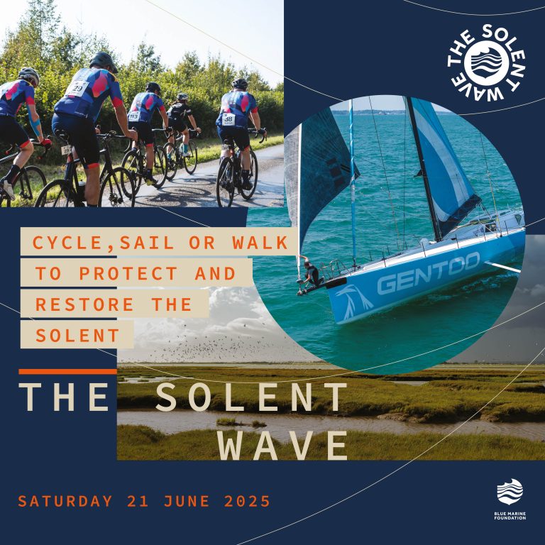 The Solent Wave | Solent Seascape Project